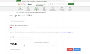 Consultar RFC - RFC en línea
